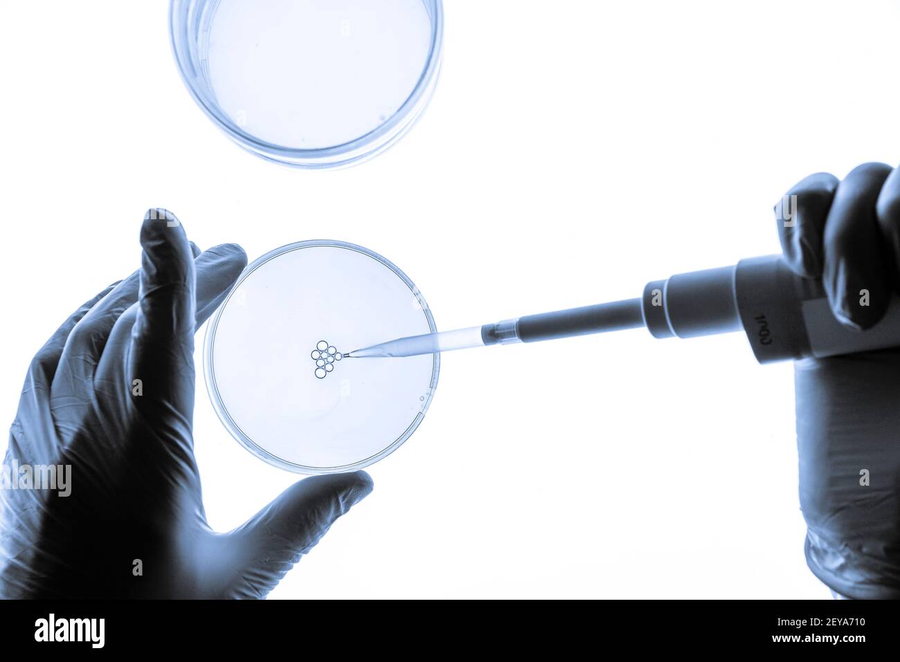 Biological research, conceptual image Stock Photo - Alamy