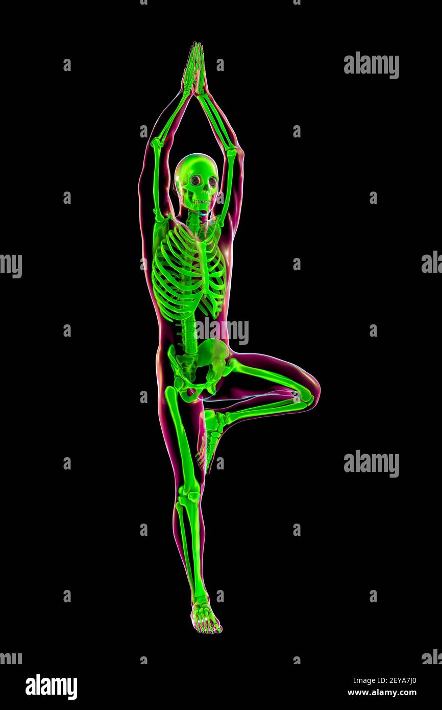Yoga tree pose, illustration Stock Photo - Alamy