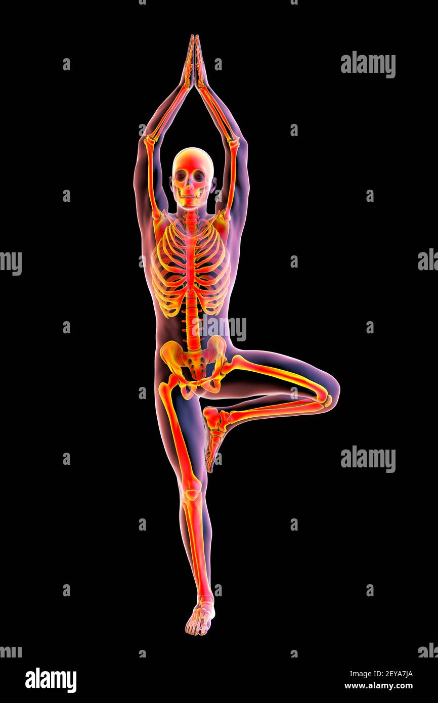 Yoga tree pose, illustration Stock Photo - Alamy