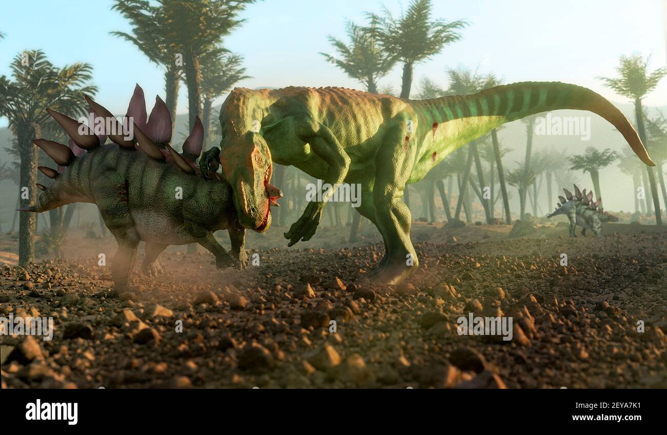 Dinosaurs Stegosaurus Vs Allosaurus