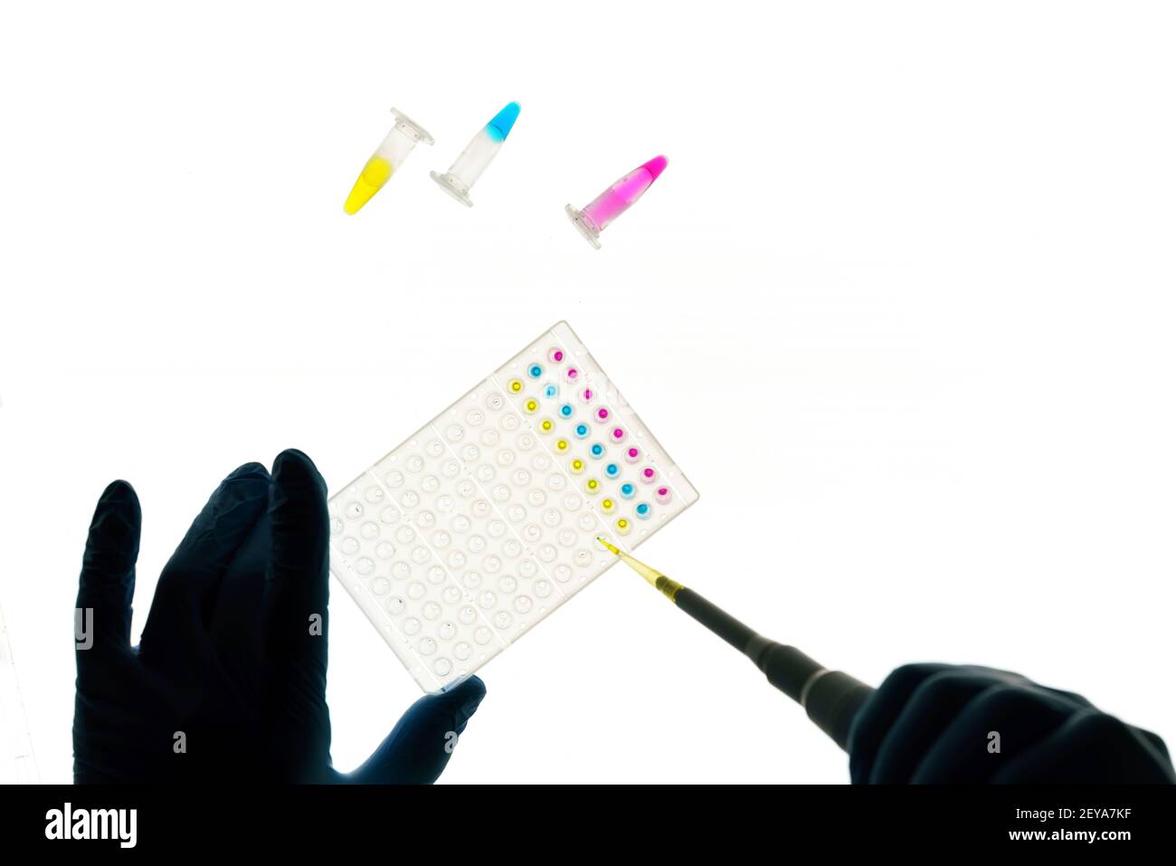 Genetic test gene analysis hi-res stock photography and images - Alamy