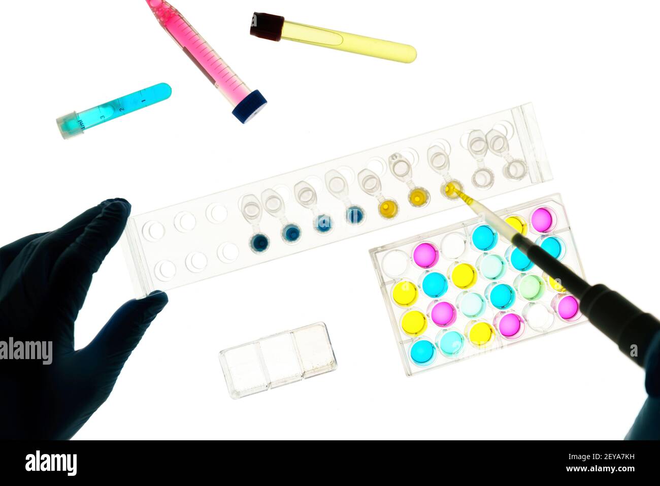 Genetic test gene analysis hi-res stock photography and images - Alamy