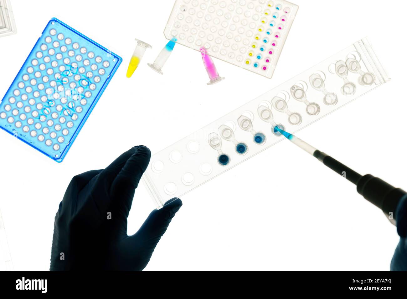 Genetic research, conceptual image Stock Photo - Alamy