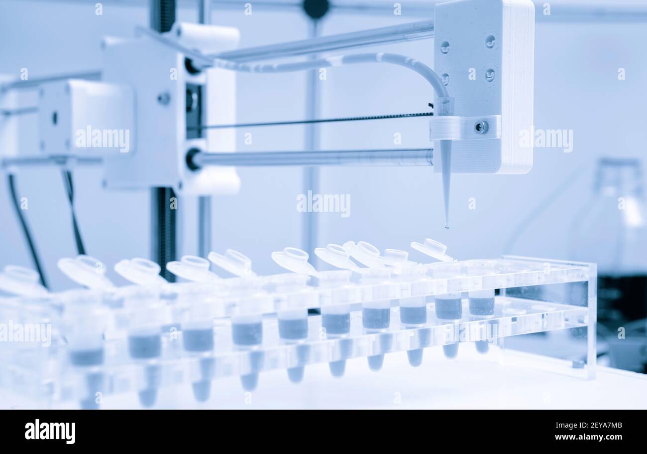 Genetic test gene analysis hi-res stock photography and images - Alamy