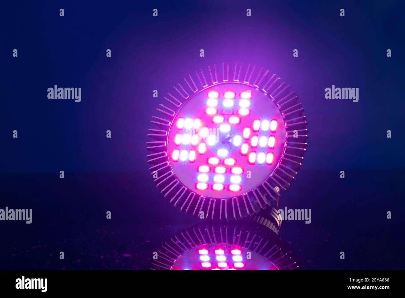 Led artificial light plants hi-res stock photography and images - Alamy