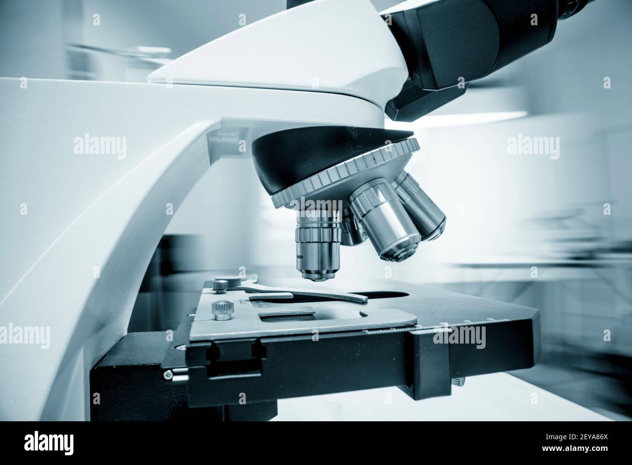 Laboratory life light microscopy hi-res stock photography and images ...