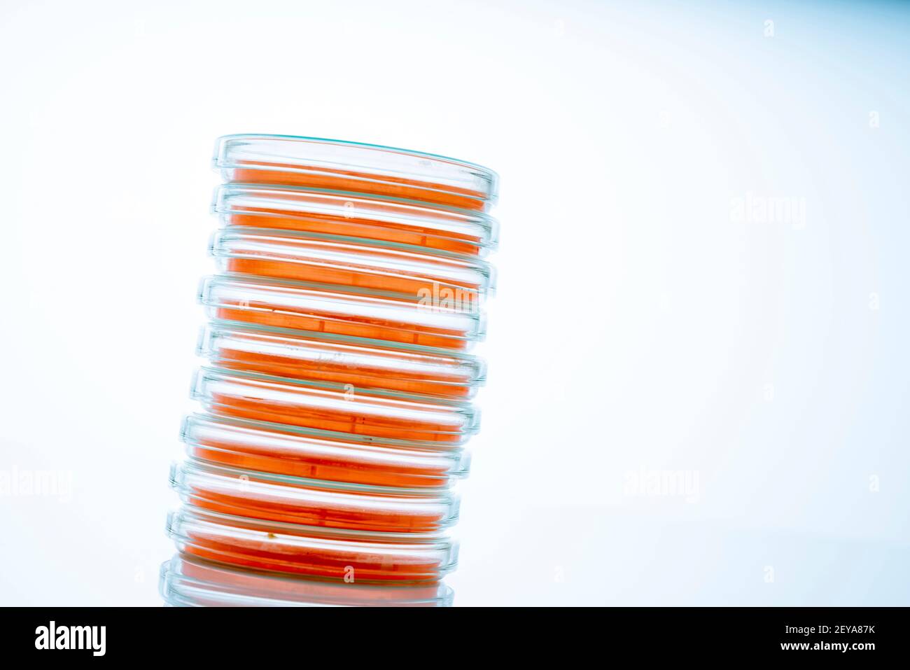 Microbiology laboratory equipment Stock Photo - Alamy