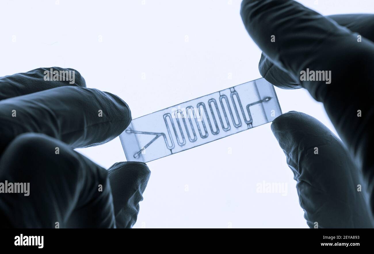 Genetic chip hi-res stock photography and images - Alamy