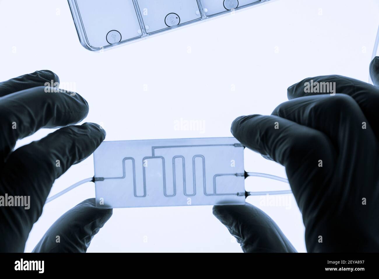 Genetic chip hi-res stock photography and images - Alamy