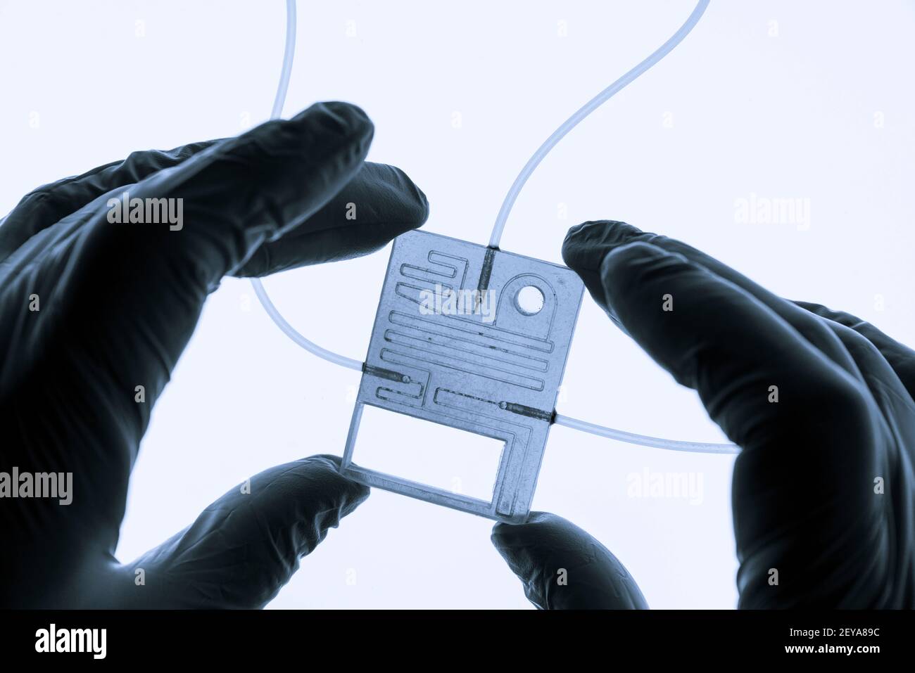 Genetic chip hi-res stock photography and images - Alamy