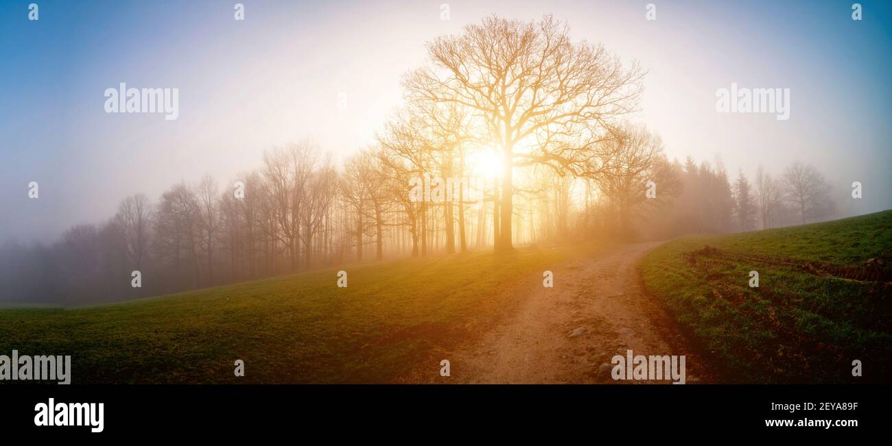 Foggy field hi-res stock photography and images - Alamy
