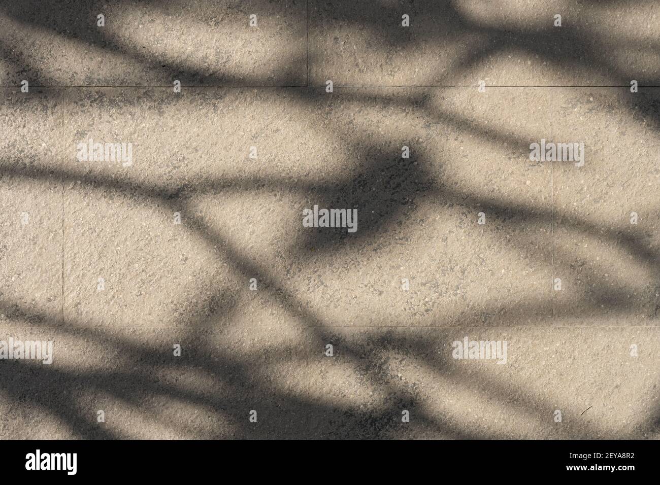 tree shadow on the ground Stock Photo - Alamy