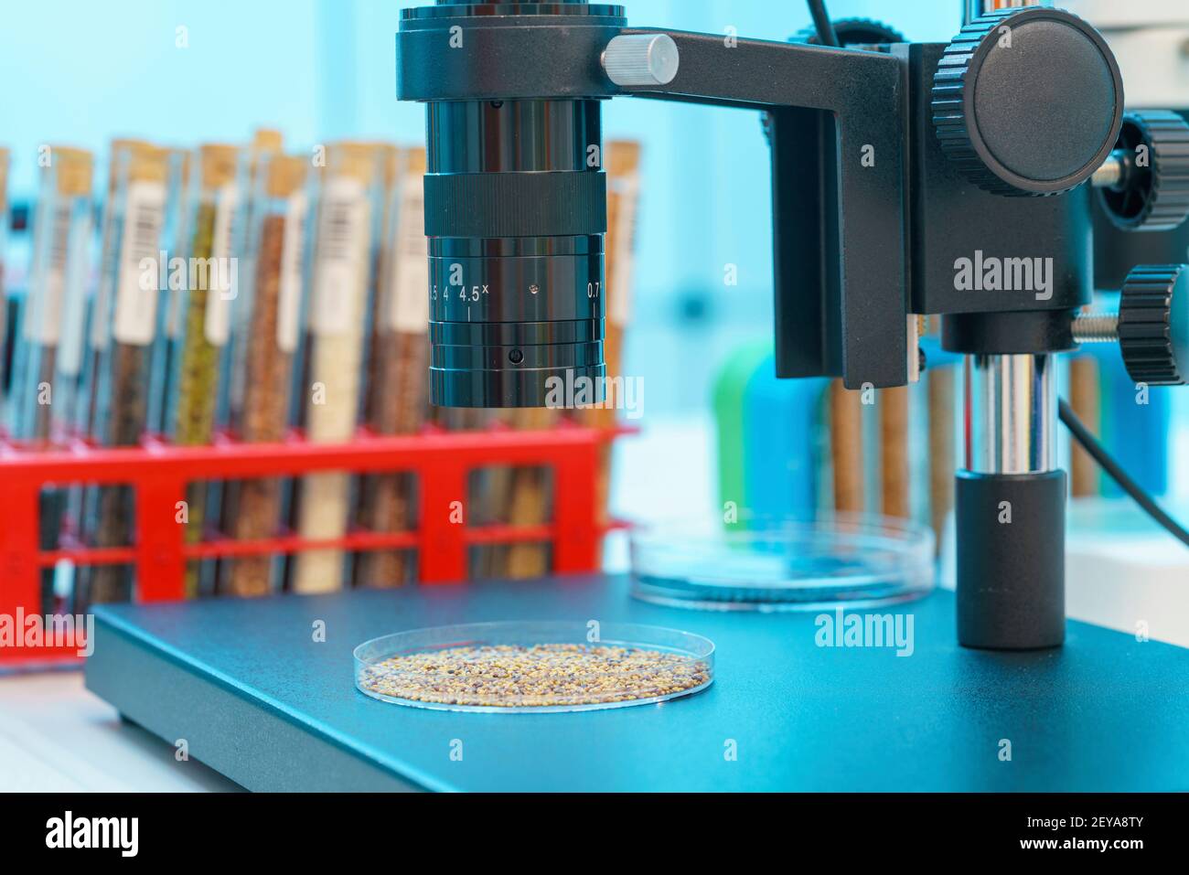 Agricultural research, conceptual image Stock Photo - Alamy