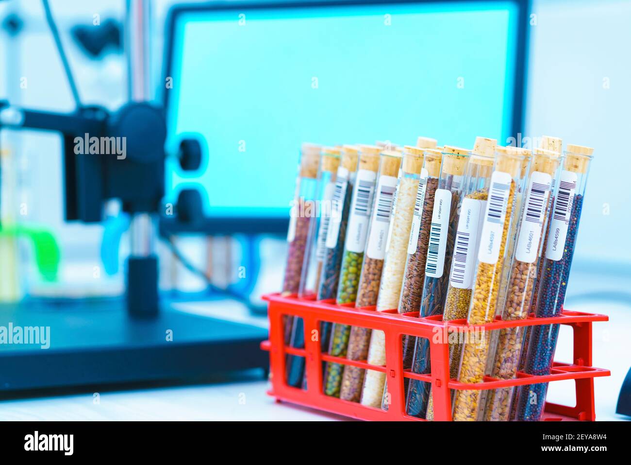 Agricultural research, conceptual image Stock Photo - Alamy