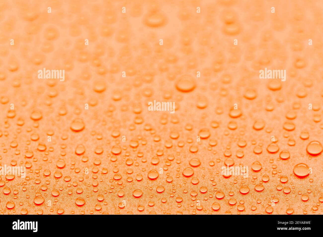 Liquid dew hi-res stock photography and images - Alamy
