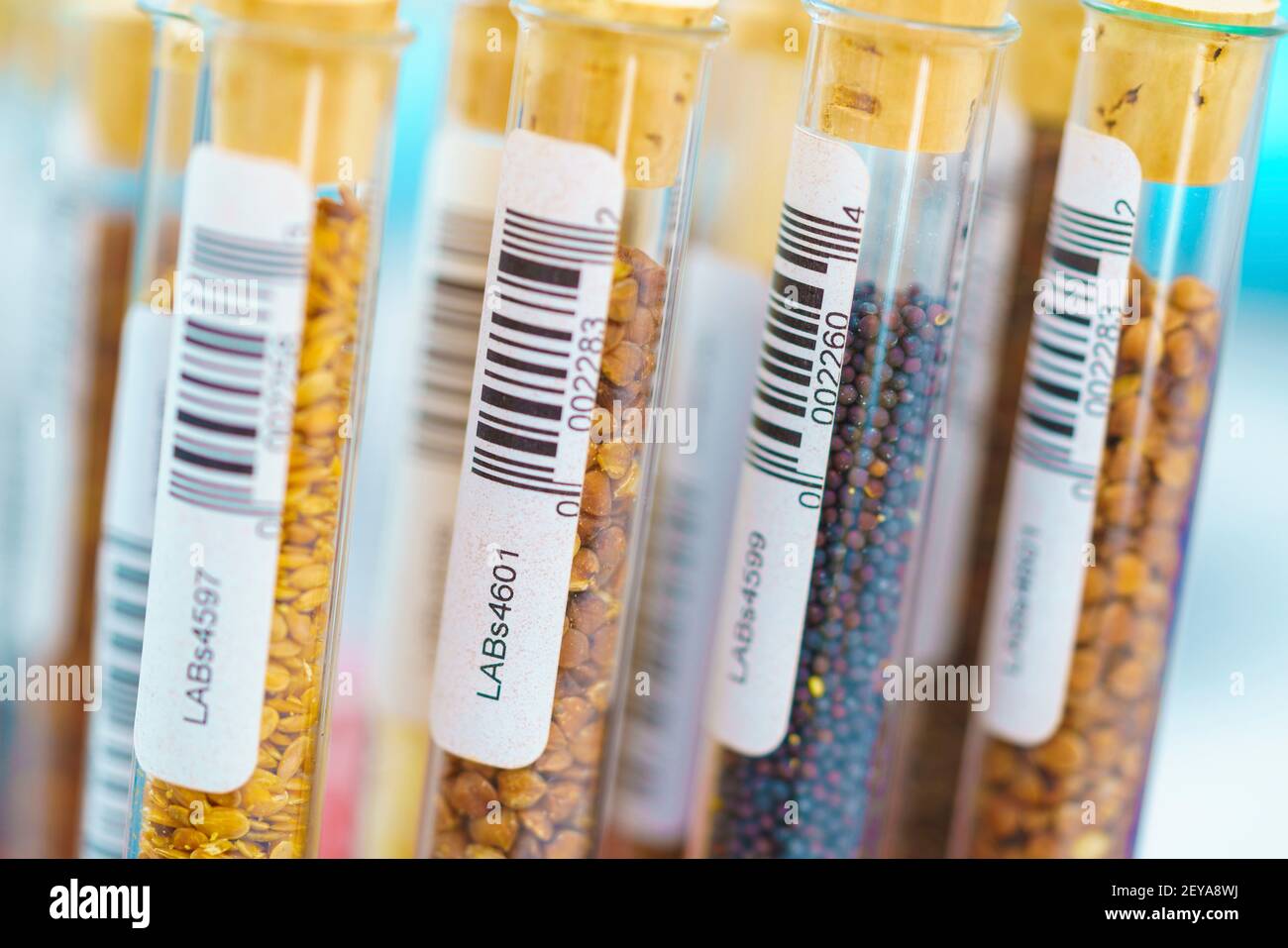 Agronomy lab hi-res stock photography and images - Alamy