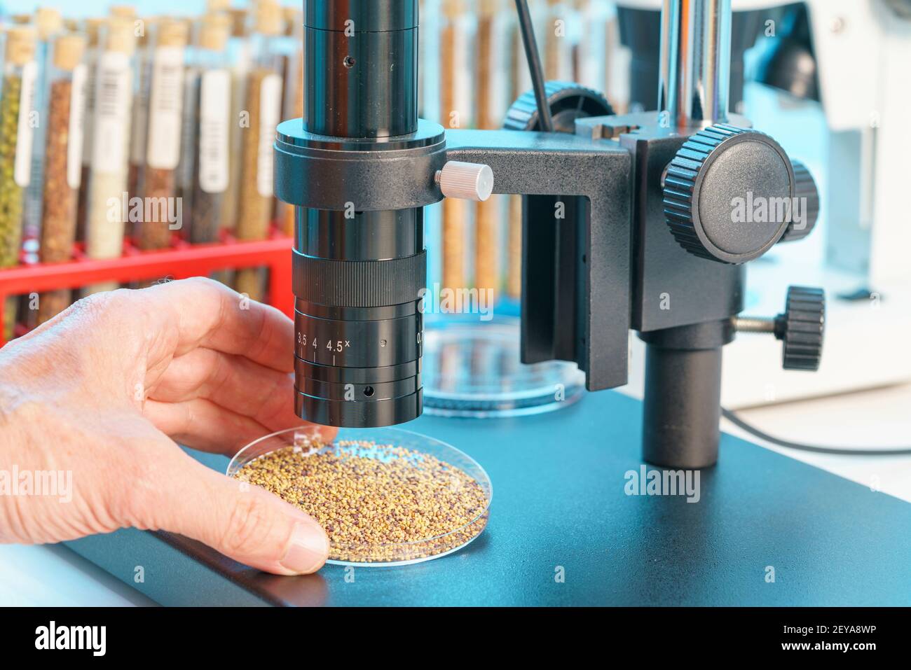 Agricultural research, conceptual image Stock Photo - Alamy
