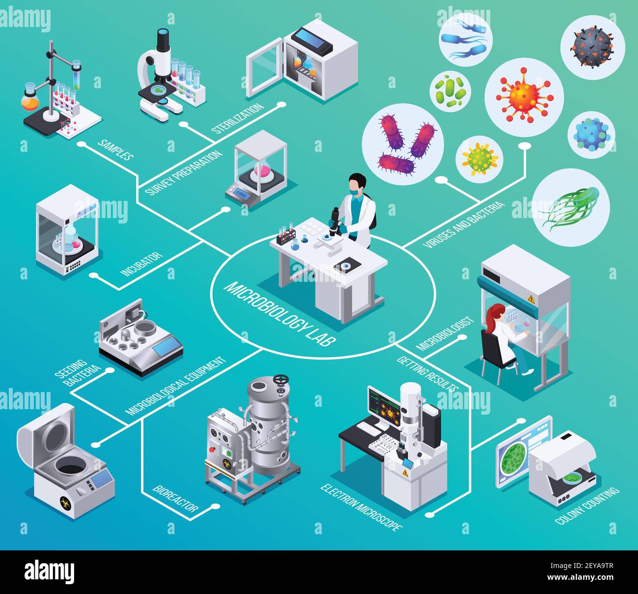 Microbiology lab flowchart bioreactor electron microscopy seeding ...