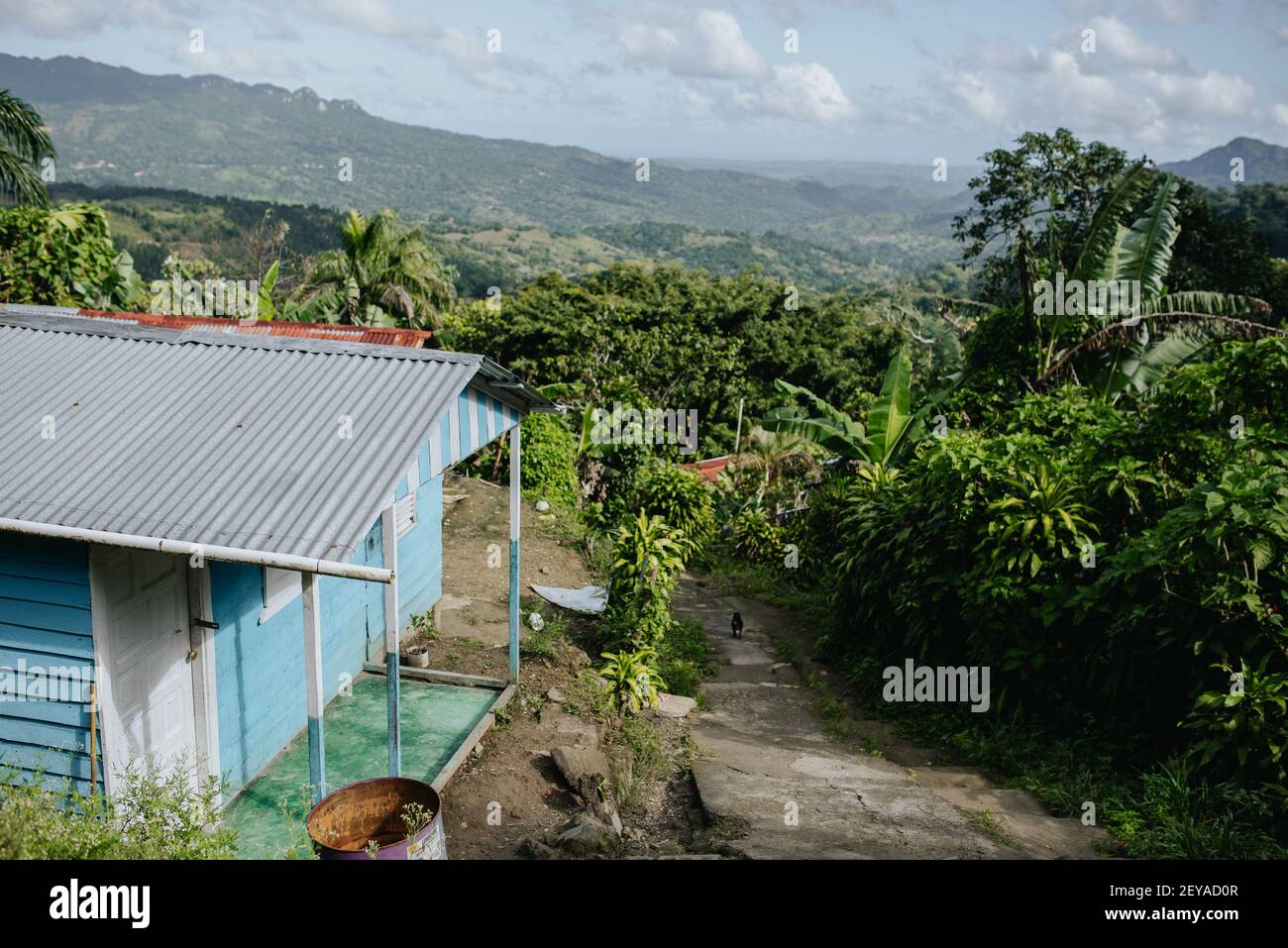 A small blue cabin in a forest covered in greenery surrounded by hills ...