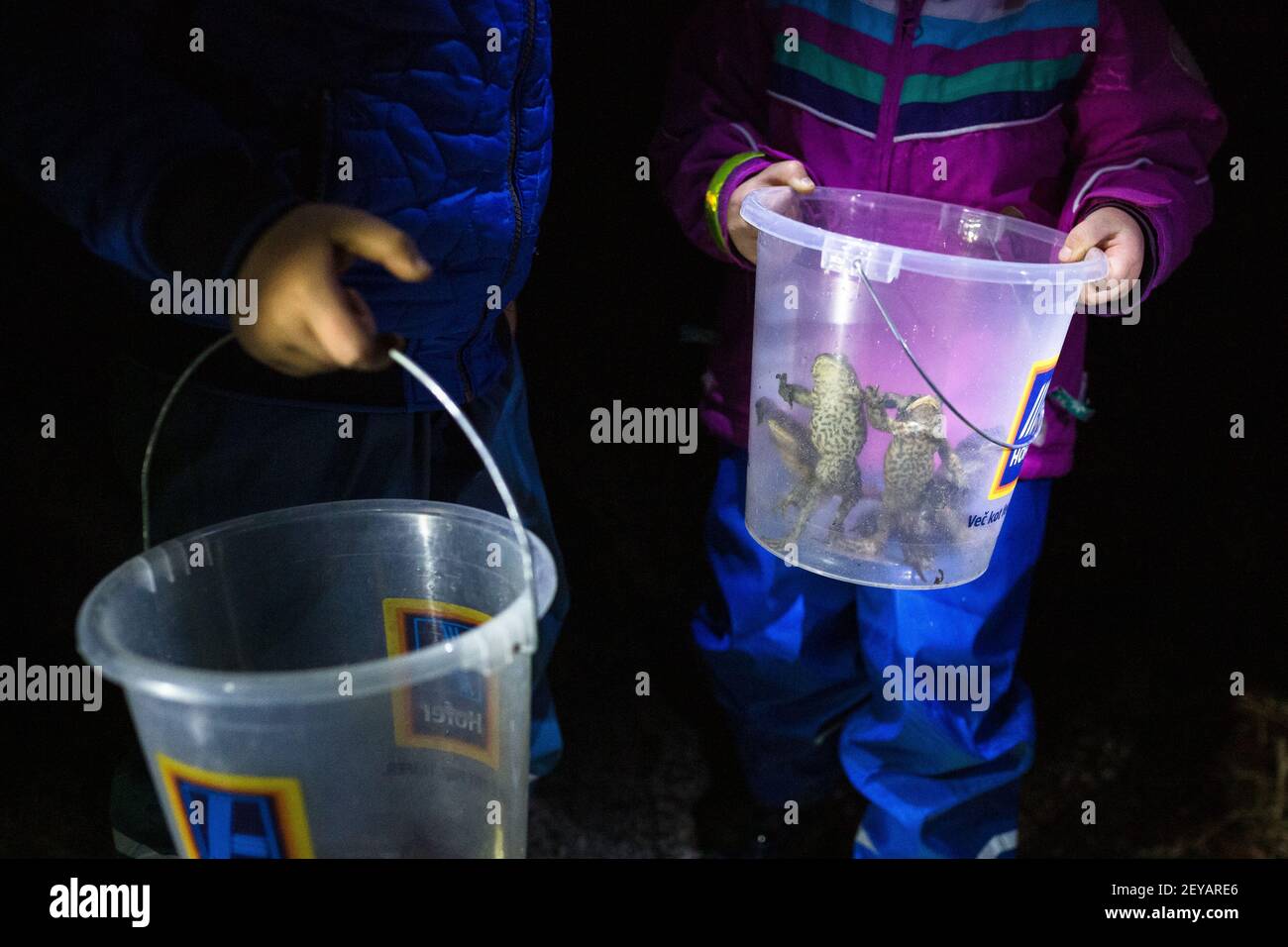 Migrating frogs hi-res stock photography and images - Alamy