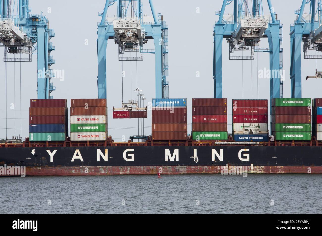The container ship Yang Ming is loaded at the Port of Virginia in ...
