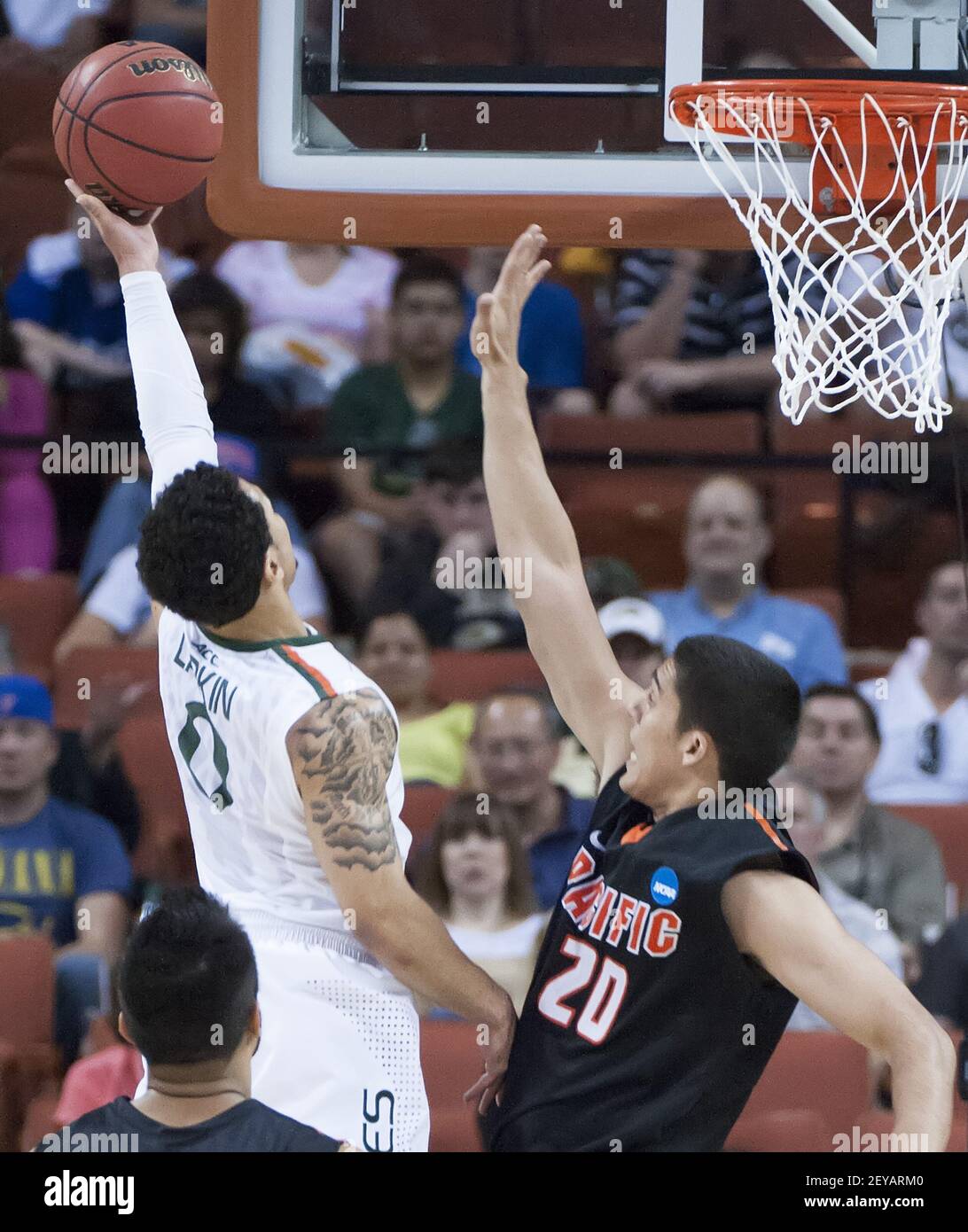 Austin larkin hi-res stock photography and images - Alamy