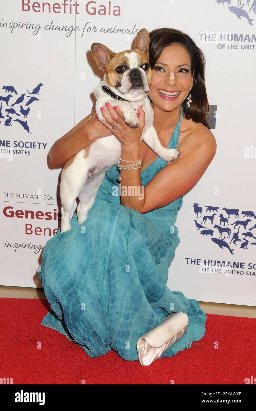 23 March 2013 - Beverly Hills, California - Constance Marie. 2013 ...