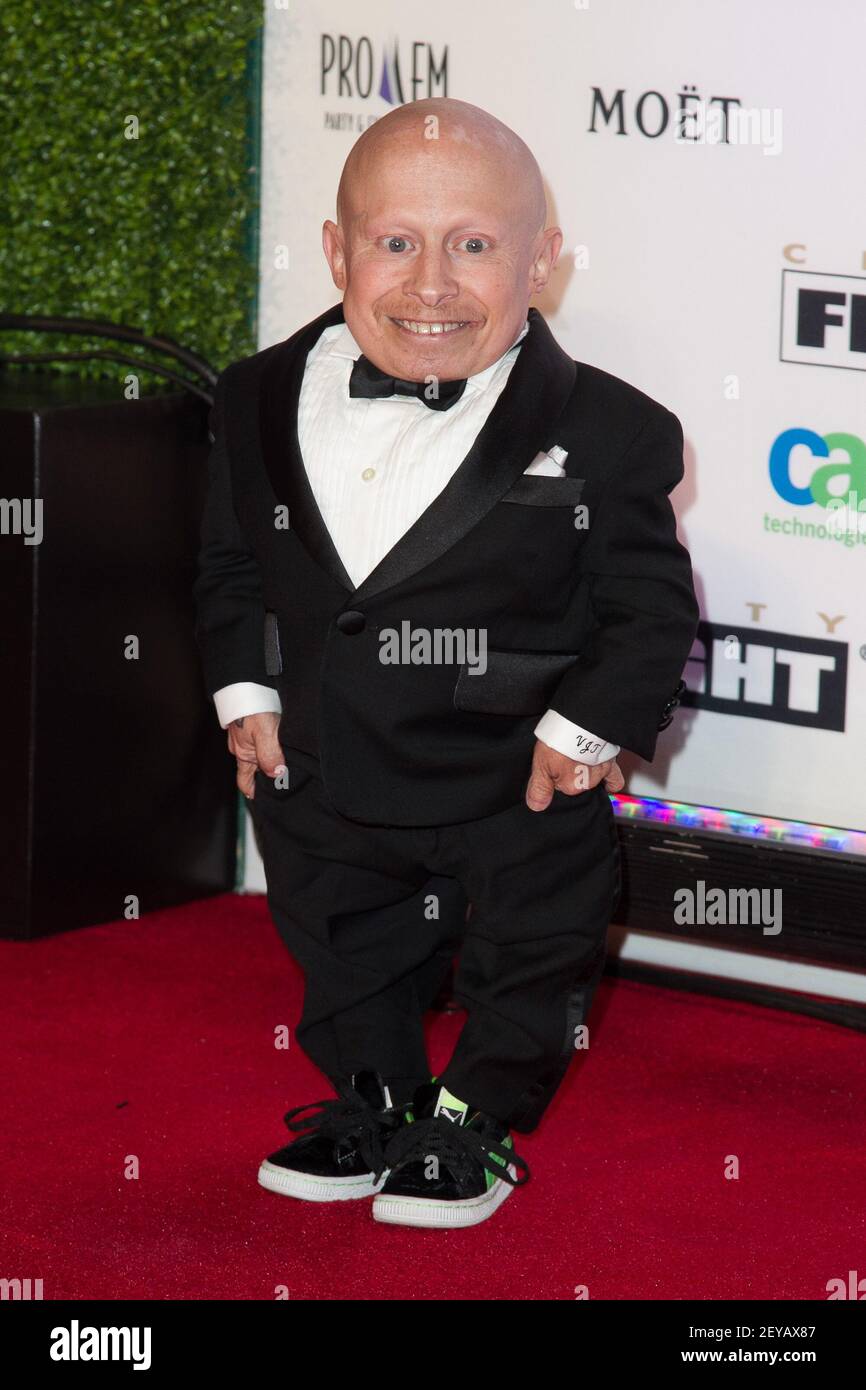 23 March 2013 - Phoenix, Arizona - Verne Troyer. Celebrity Fight Night ...