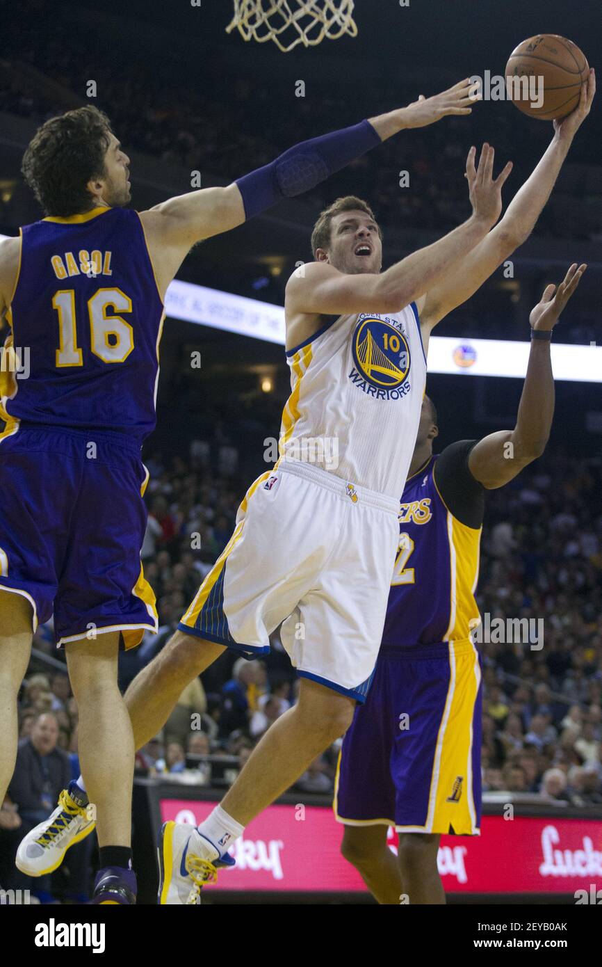 David Lee Dunk Warriors