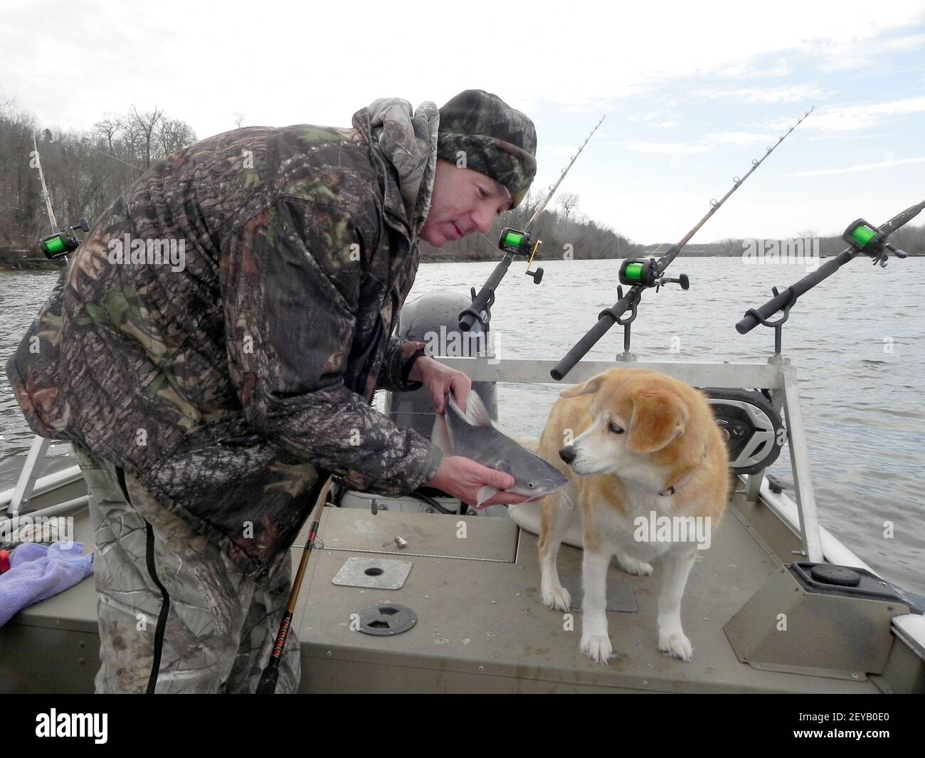 Chris Jones' fishing dog, Angel, sniffs a small blue catfish caught on ...