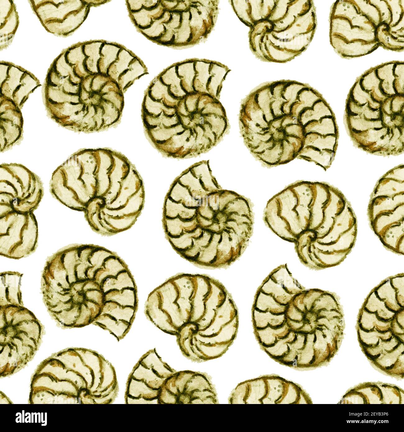Watercolor seamless pattern with ammonites fossil shells. High quality ...