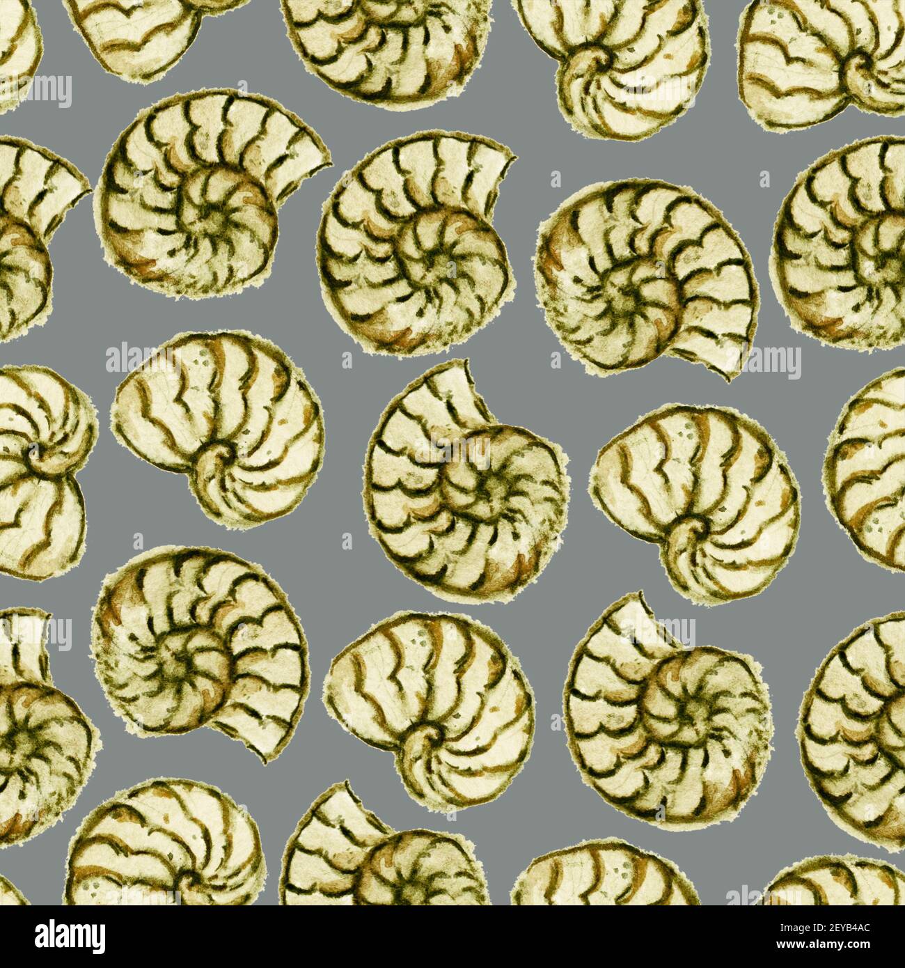 Watercolor seamless pattern with ammonites fossil shells. High quality ...