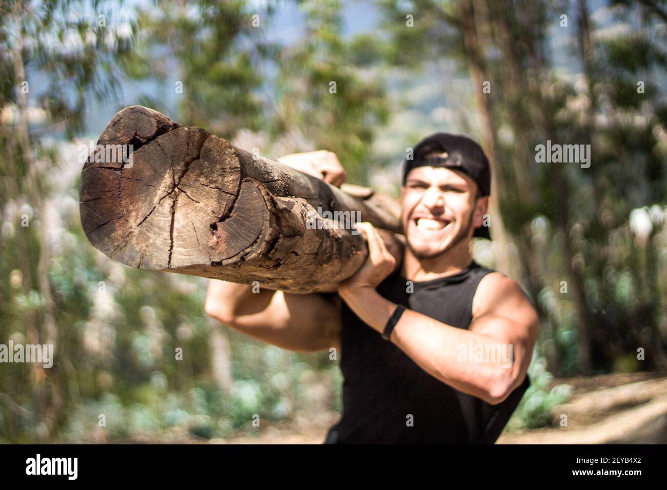 Huge log hi-res stock photography and images - Alamy