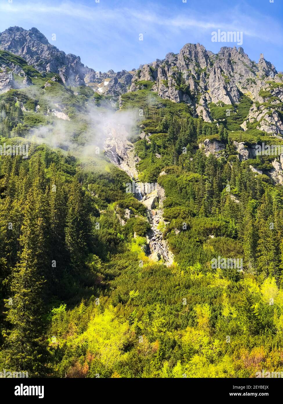 A green-covered mountain and water evaporation off the surface, Tatra ...