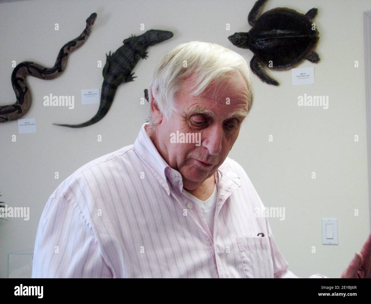 Joe Morgan shows off the display of reptile replicas inside the ...