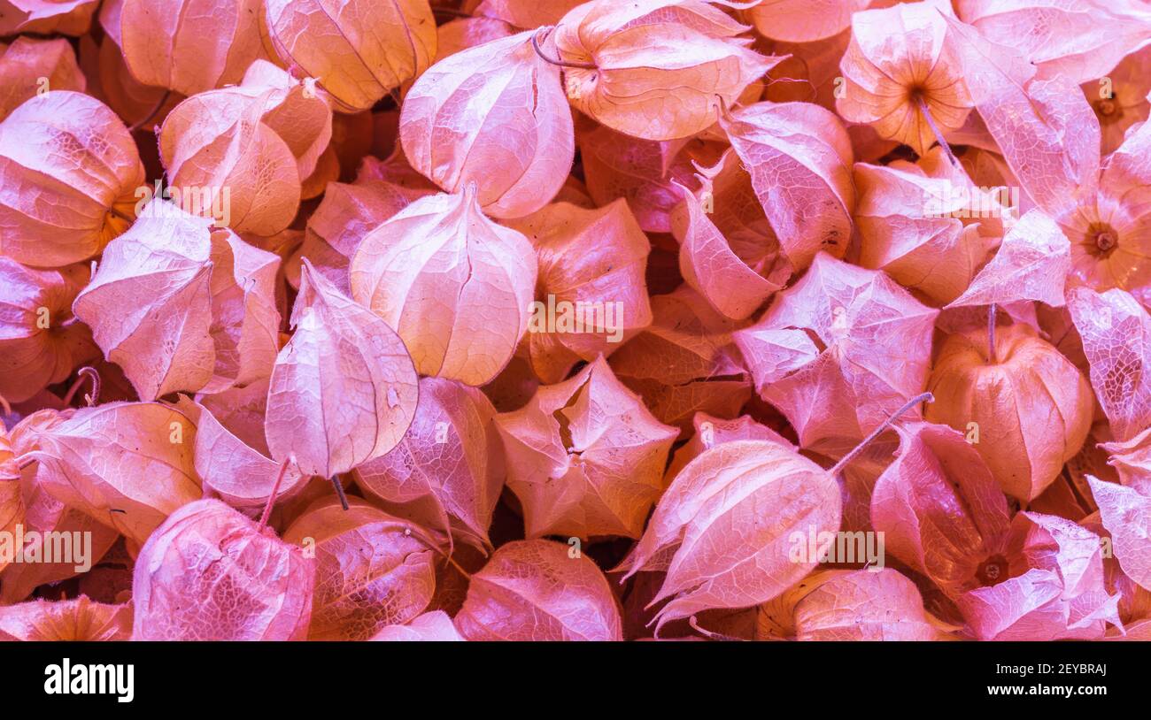 Closeup overhead shot fresh hi-res stock photography and images - Alamy