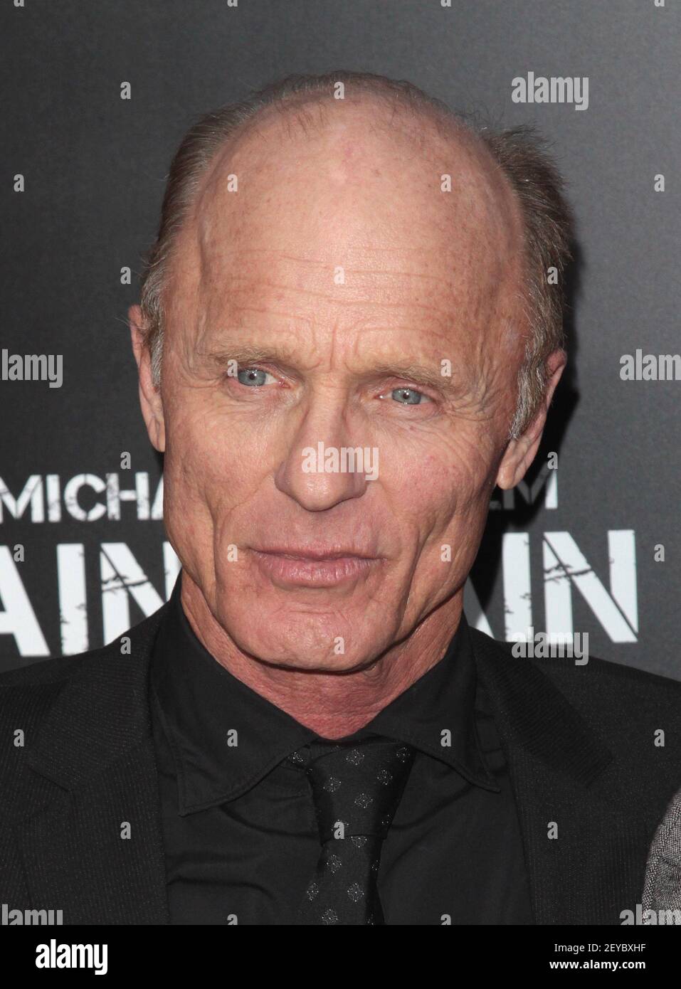 Ed Harris attends The Los Angeles Premiere of 'Pain & Gain' at the TCL ...