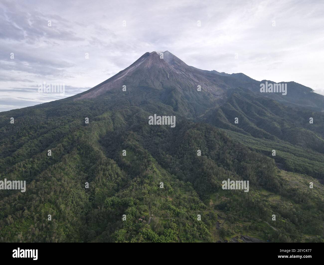 Aerial view of Mount Merapi Landscape with rice field and village in ...