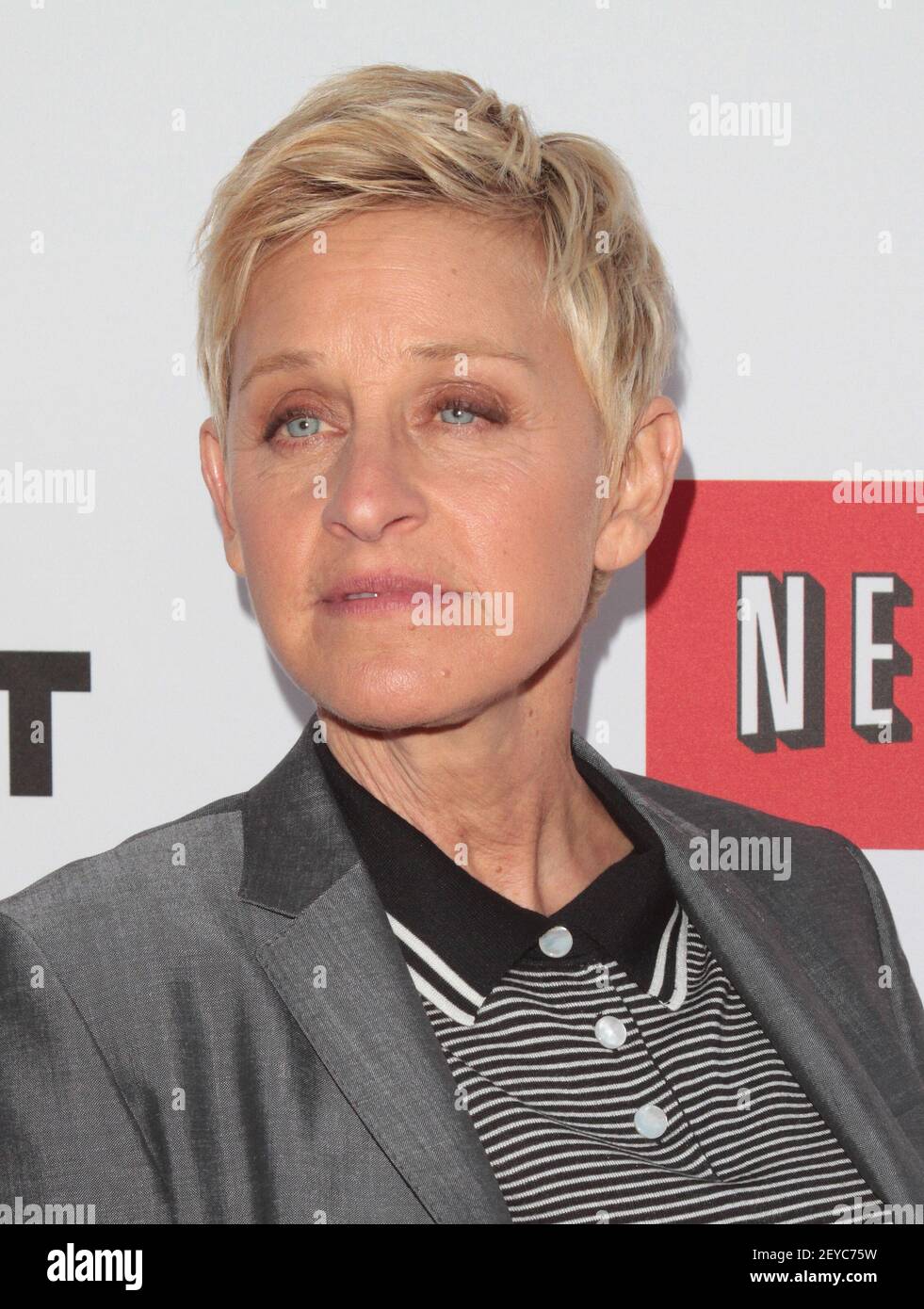 Ellen DeGeneres attends The Los Angeles Premiere of Season 4 of ...