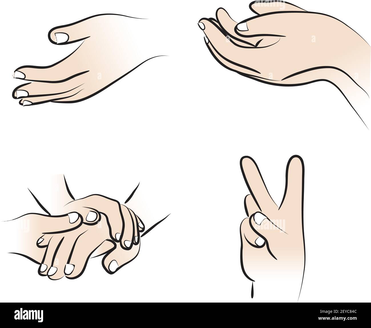 vector drawing hands action set Stock Vector Image & Art - Alamy