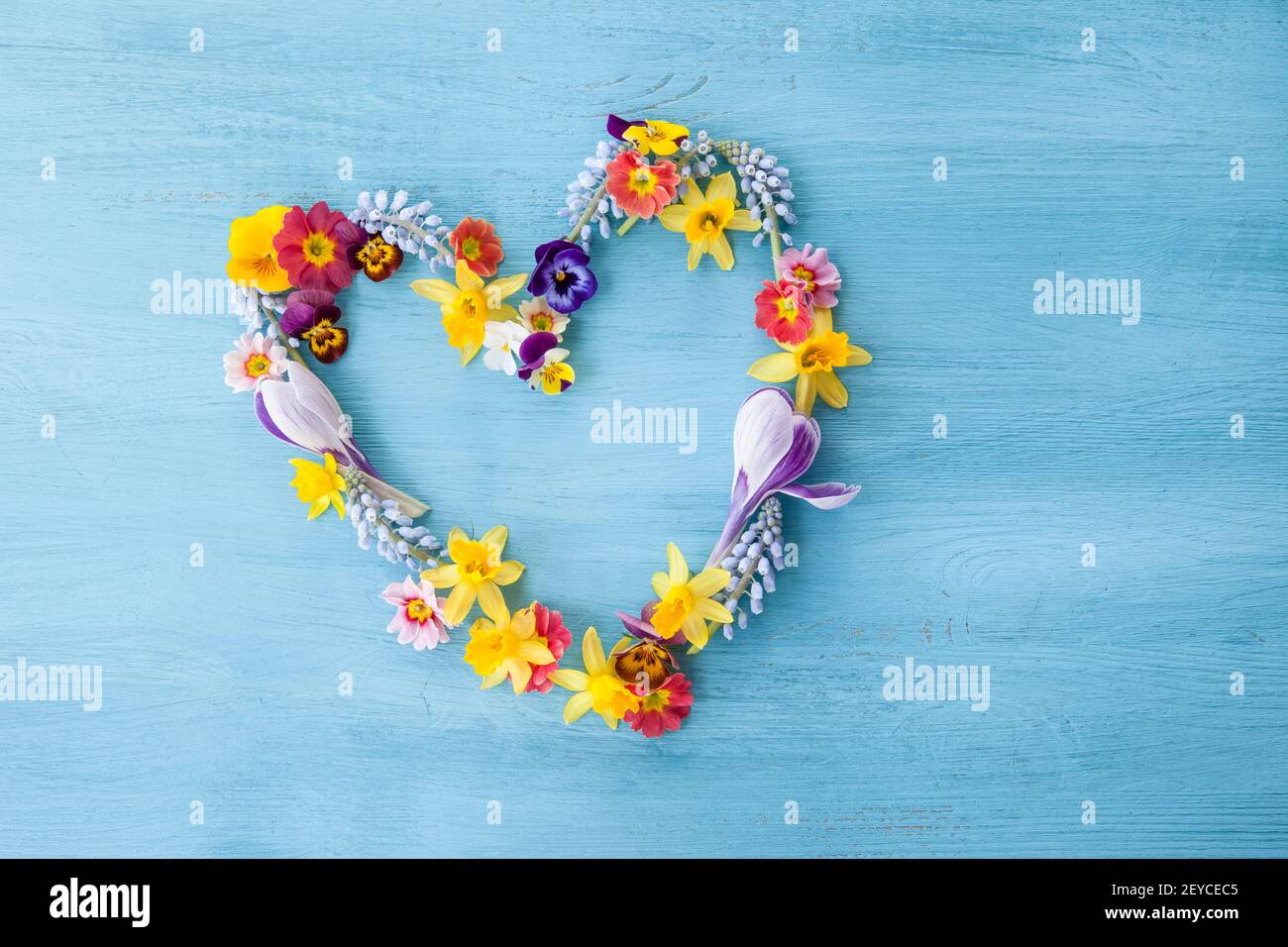 Spring flowers in heart shape Stock Photo - Alamy