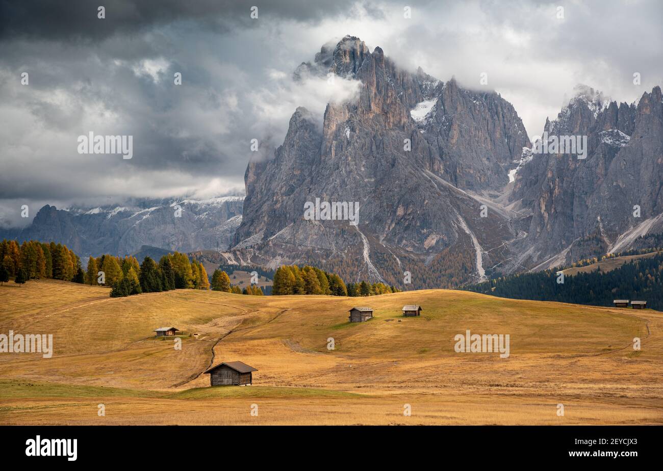 Landscape with beautiful autumn meadow field and the amazing Dolomite ...