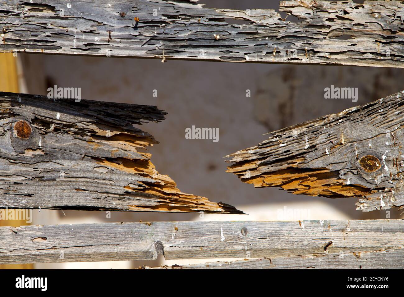 Texture spain brown window Stock Photo - Alamy
