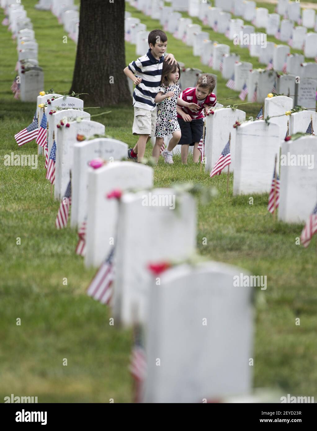 Children walk through the graves during Memorial Day activities at ...