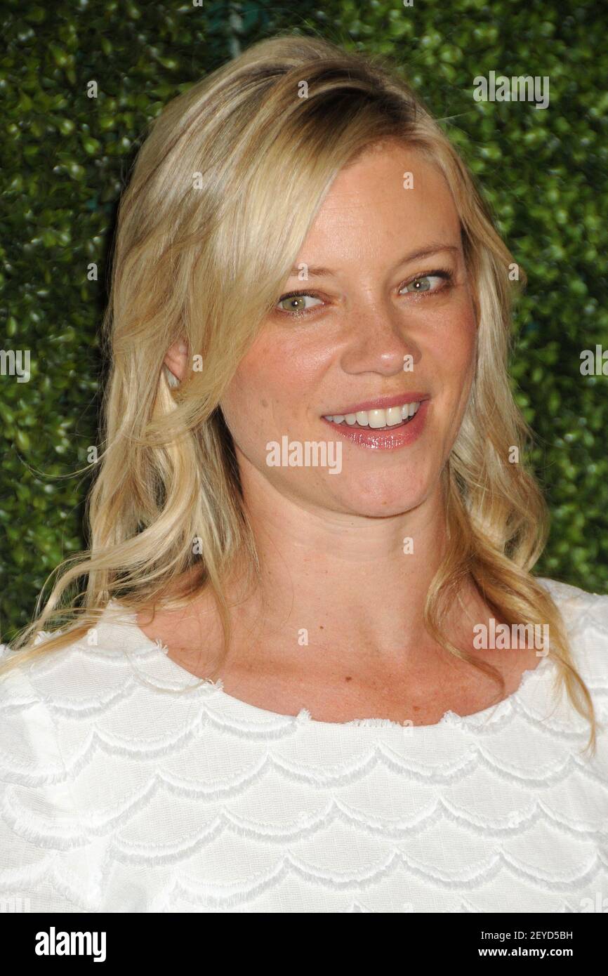 31 May 2013 - Beverly Hills, California - Amy Smart. 10th Annual ...