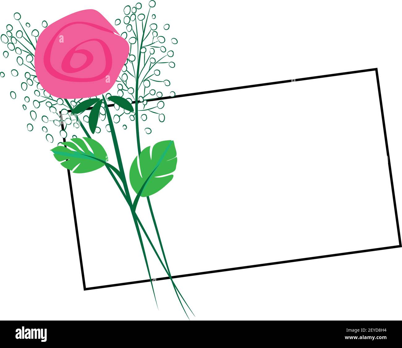 Beautiful Rose Borders