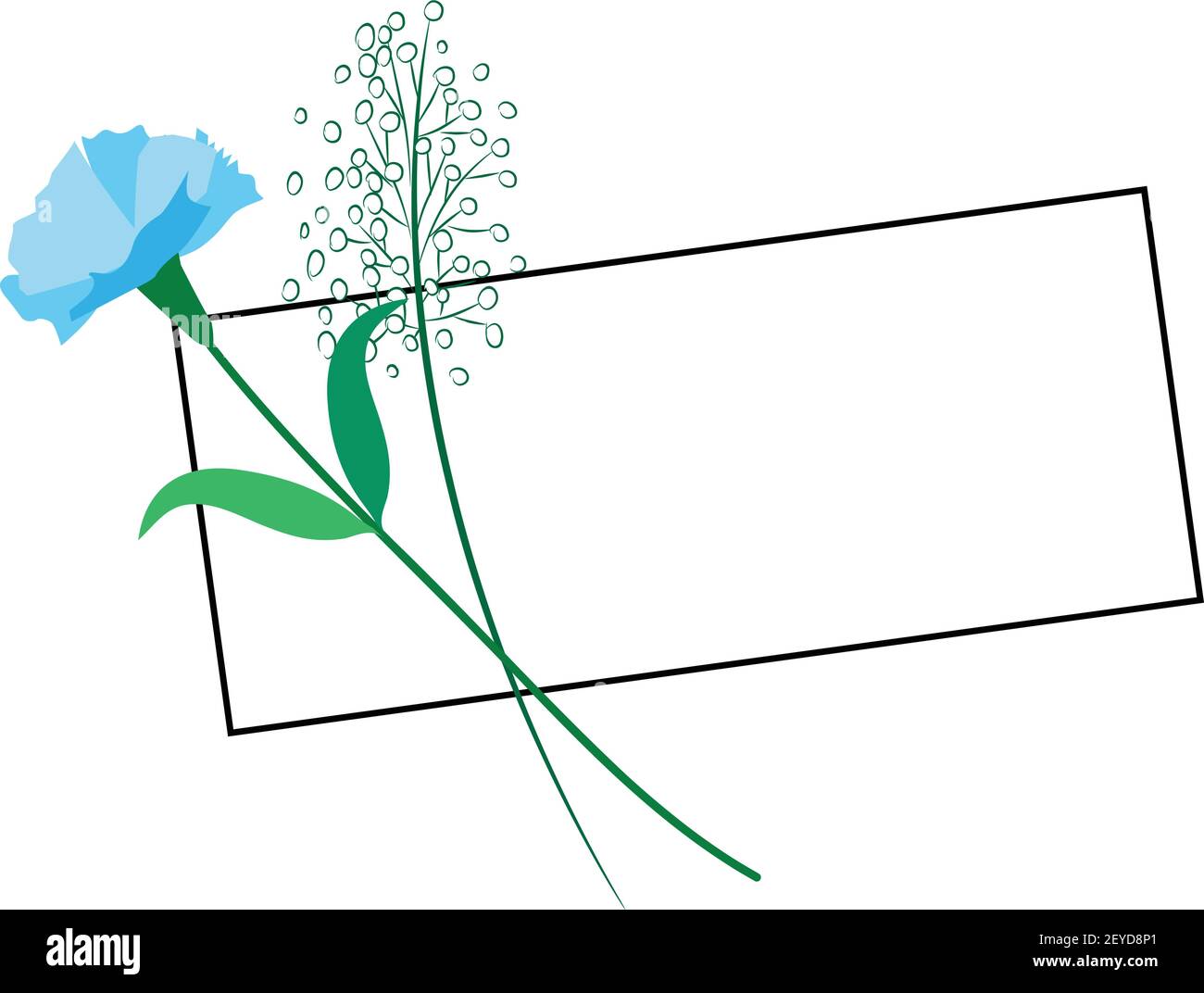 vector drawing art carnation flower with card border frame background ...