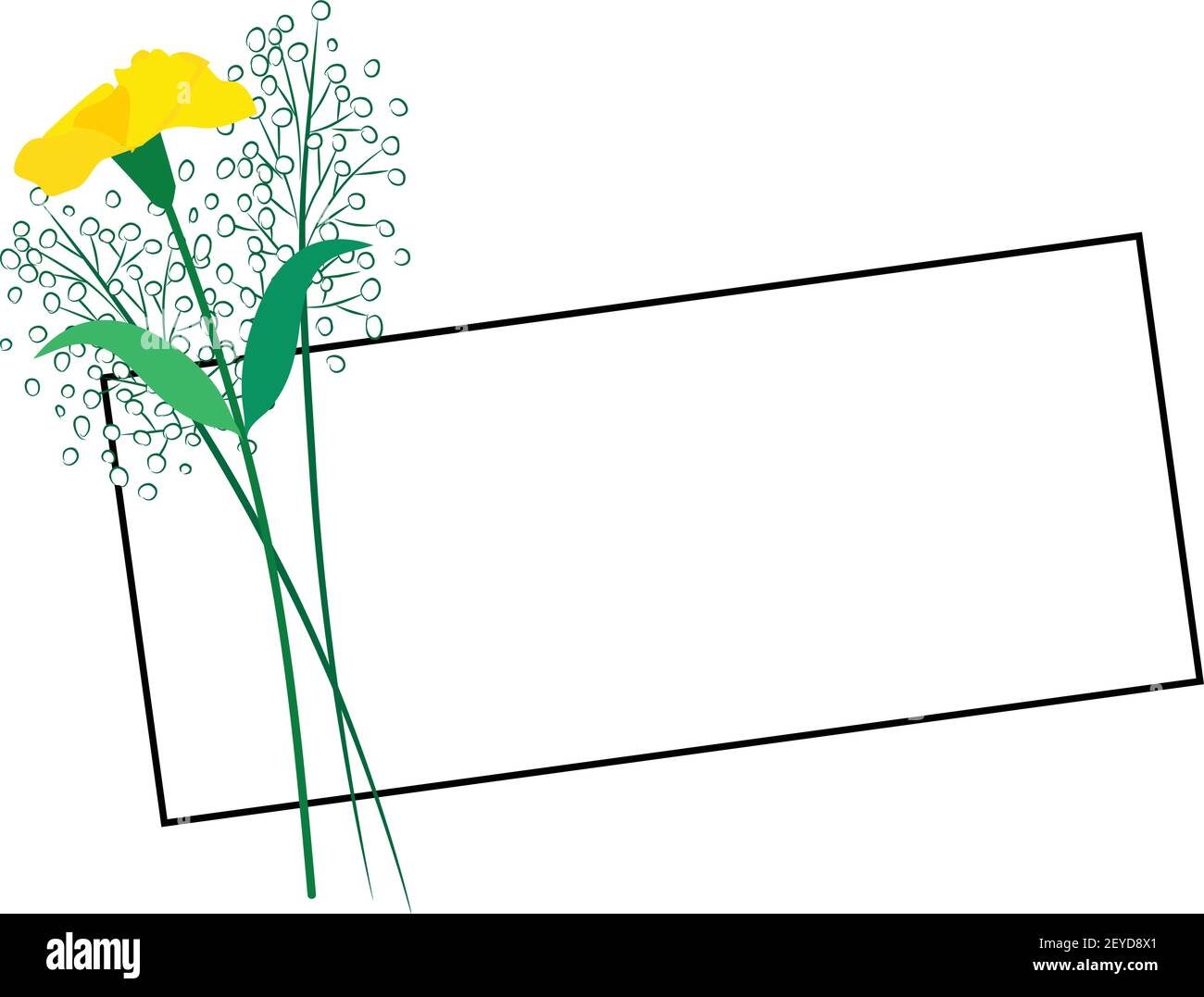 vector drawing art carnation flower with card border frame background ...