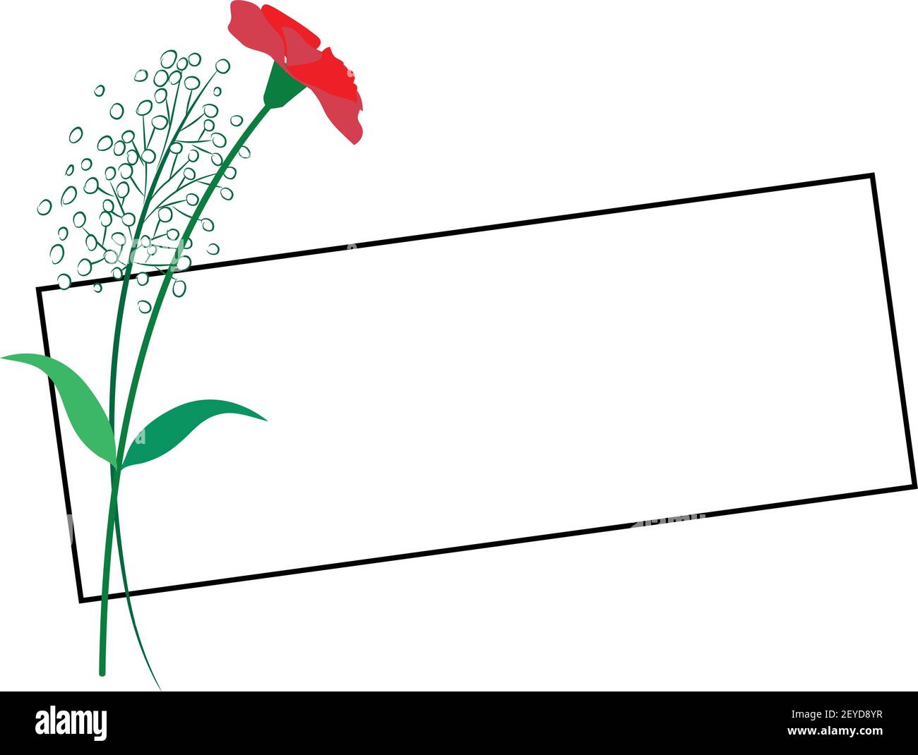 vector drawing art carnation flower with card border frame background ...