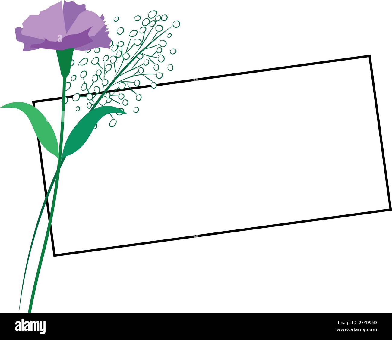 vector drawing art carnation flower with card border frame background ...